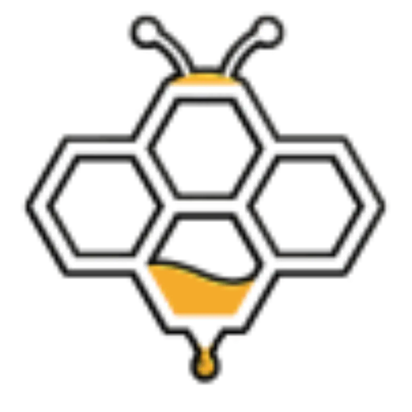 Stream Premium IPTV Channels Anywhere | Honey Bee IPTV